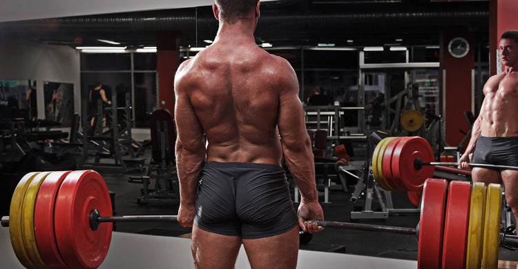 Unleashing the Power of Your Posterior Chain: A Comprehensive Guide ...